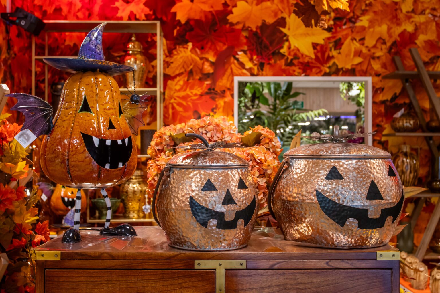 New In Autumn Homeware - Barton Grange Garden Centre