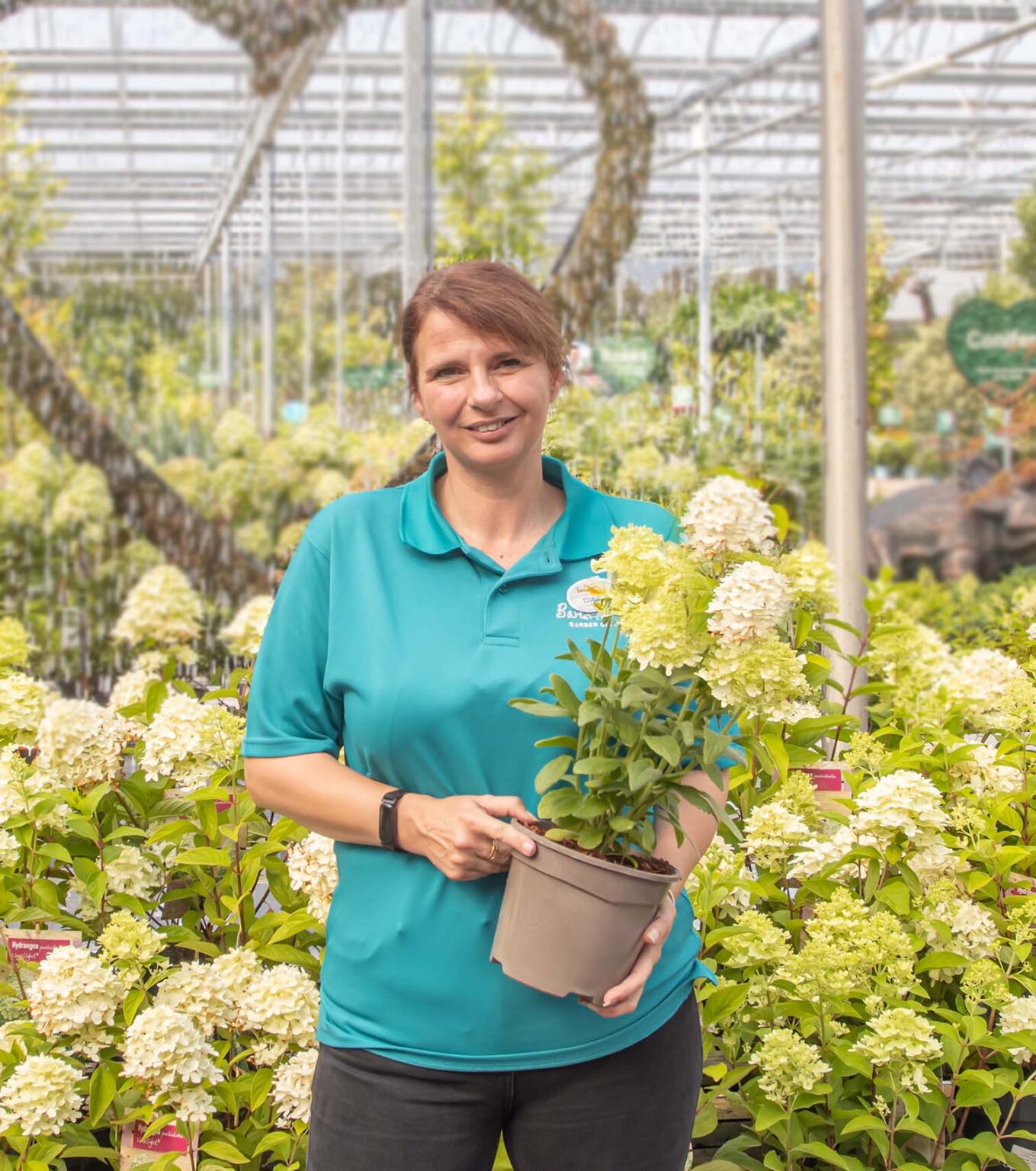 Gardens - Barton Grange Garden Centre - Premium Seasonal Plants