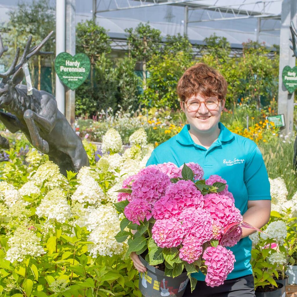 Gardens - Barton Grange Garden Centre - Premium Seasonal Plants