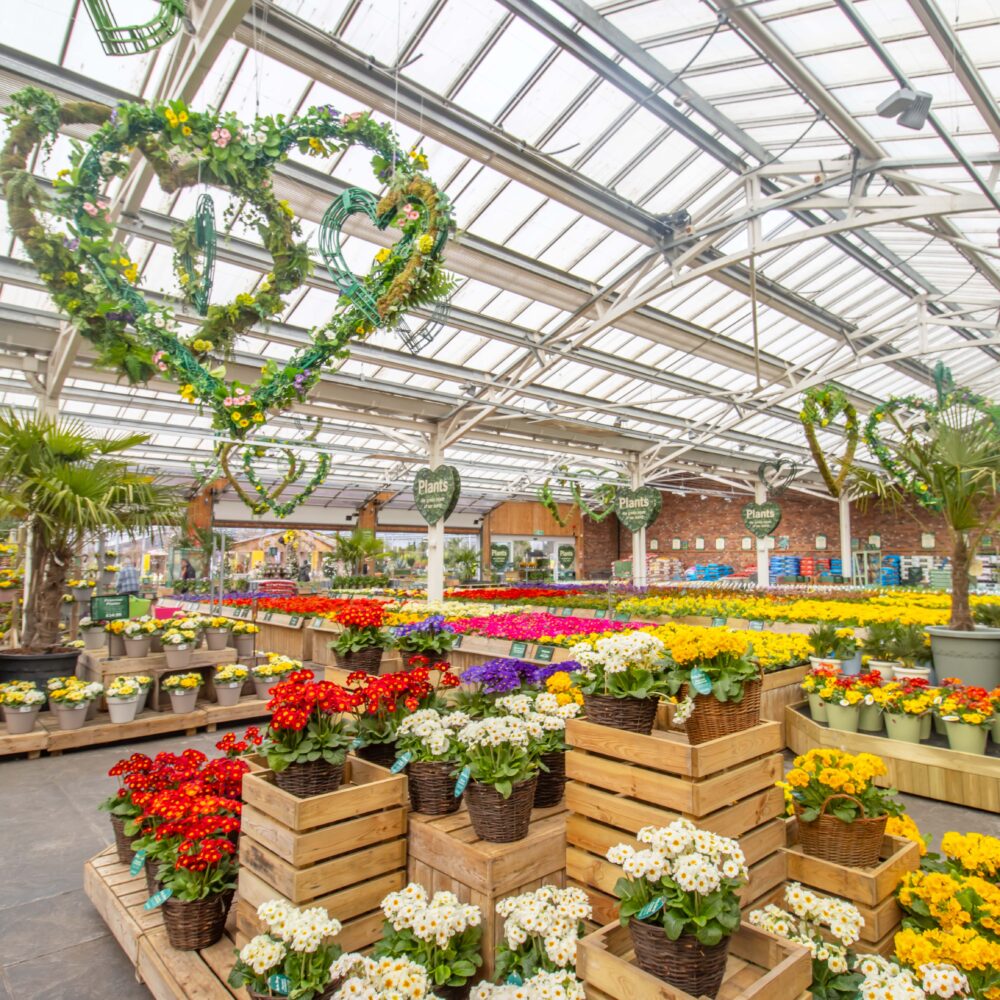 Barton Grange is the Best Garden Centre in North! - Barton Grange ...