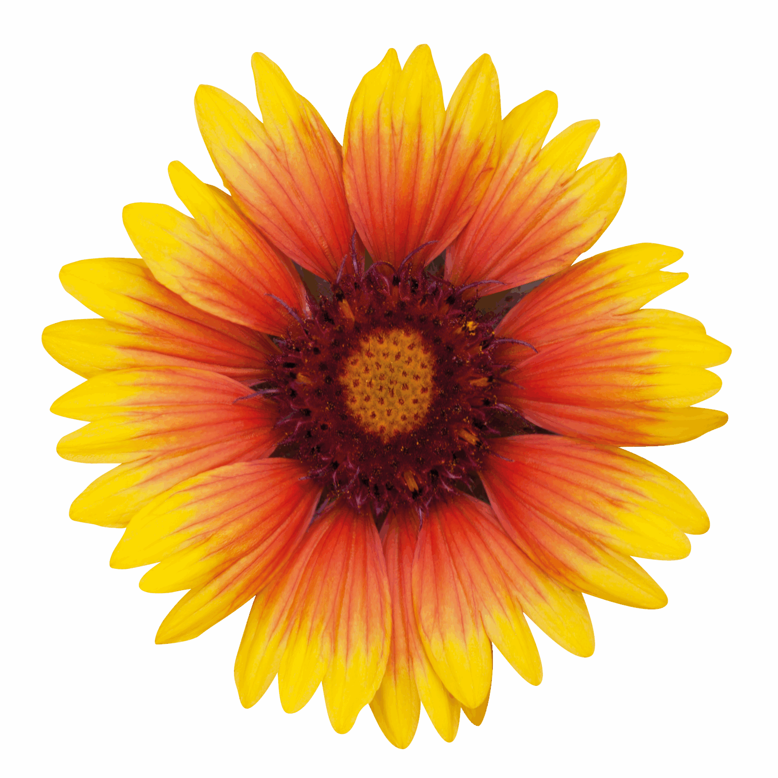 Fashion - Barton Grange Garden Centre