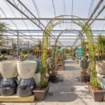 Gardens - Barton Grange Garden Centre - Premium Seasonal Plants