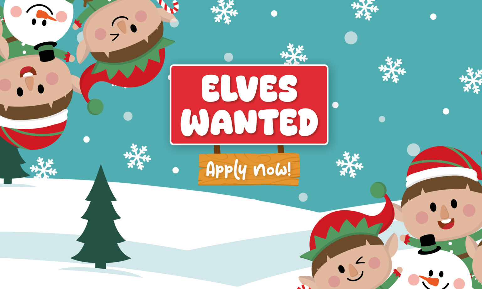 Fashion - Barton Grange Garden Centre