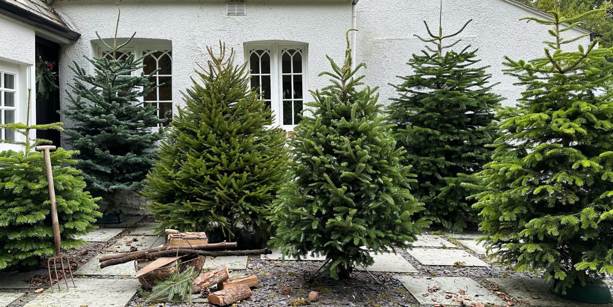 Fashion - Barton Grange Garden Centre