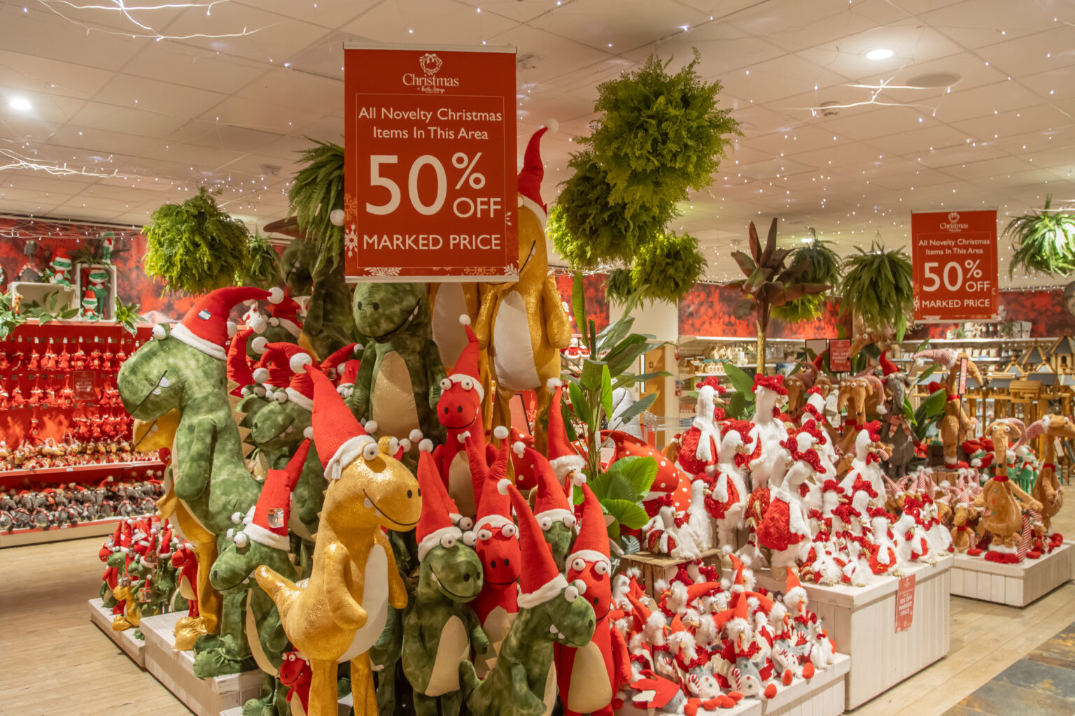 Gardens - Barton Grange Garden Centre - Premium Seasonal Plants